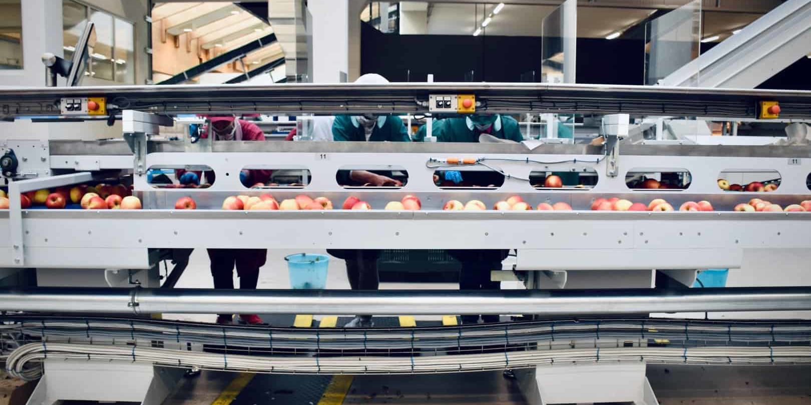 Conveyor Belt Repair | Tuffman